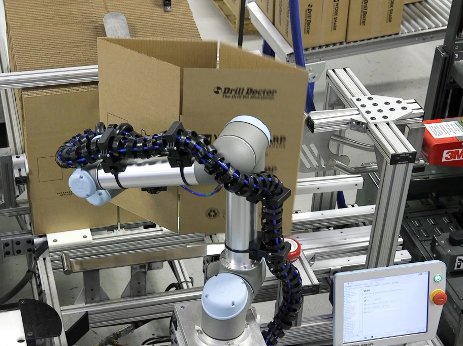 The Power of Flexible Automation in Case Erecting | Shelley Automation